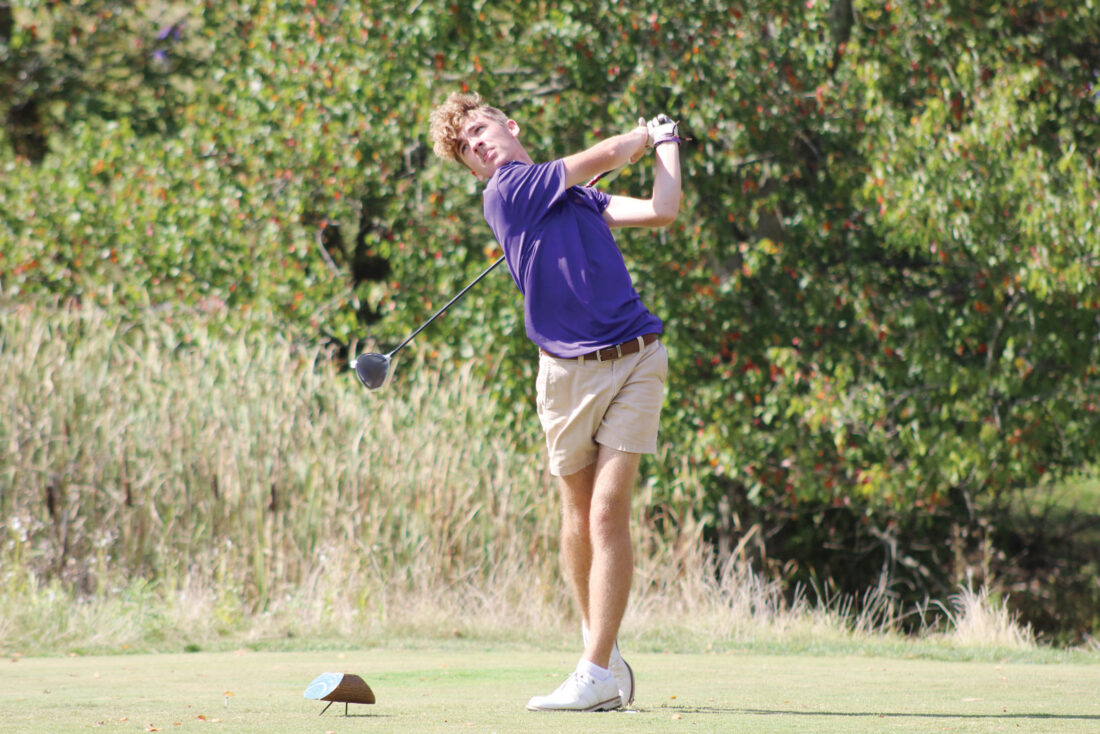 Mid-Ohio Valley golfers compete in state tournament | News, Sports ...